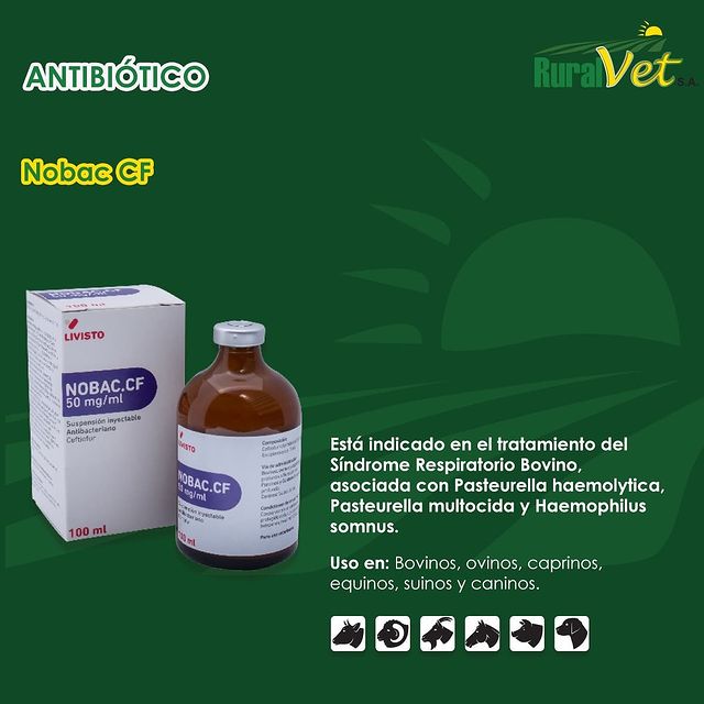 NOBAC.CF - Infecciones respiratorias - Ruralvet S.A: Productos ...